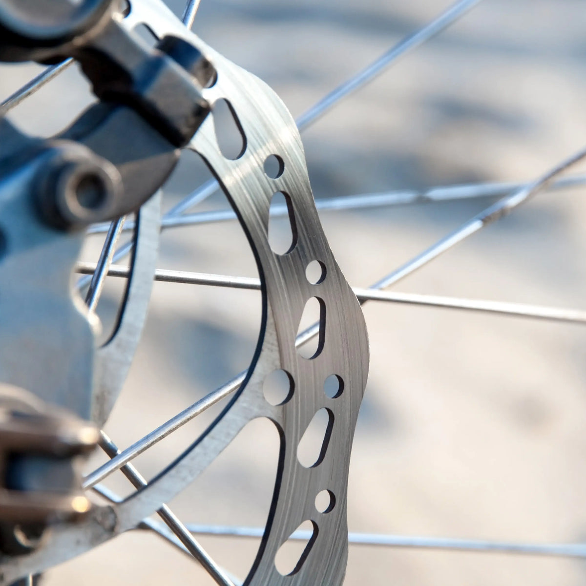 MTB Rotor Size Guide: 160mm vs 180mm vs 203mm Explained | Dunbar Cycles